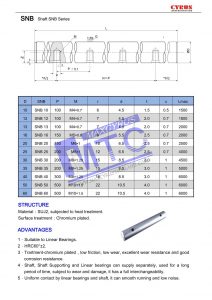 SNB - บริษัท แมกซ์ไซรัส (ไทยแลนด์) จำกัด